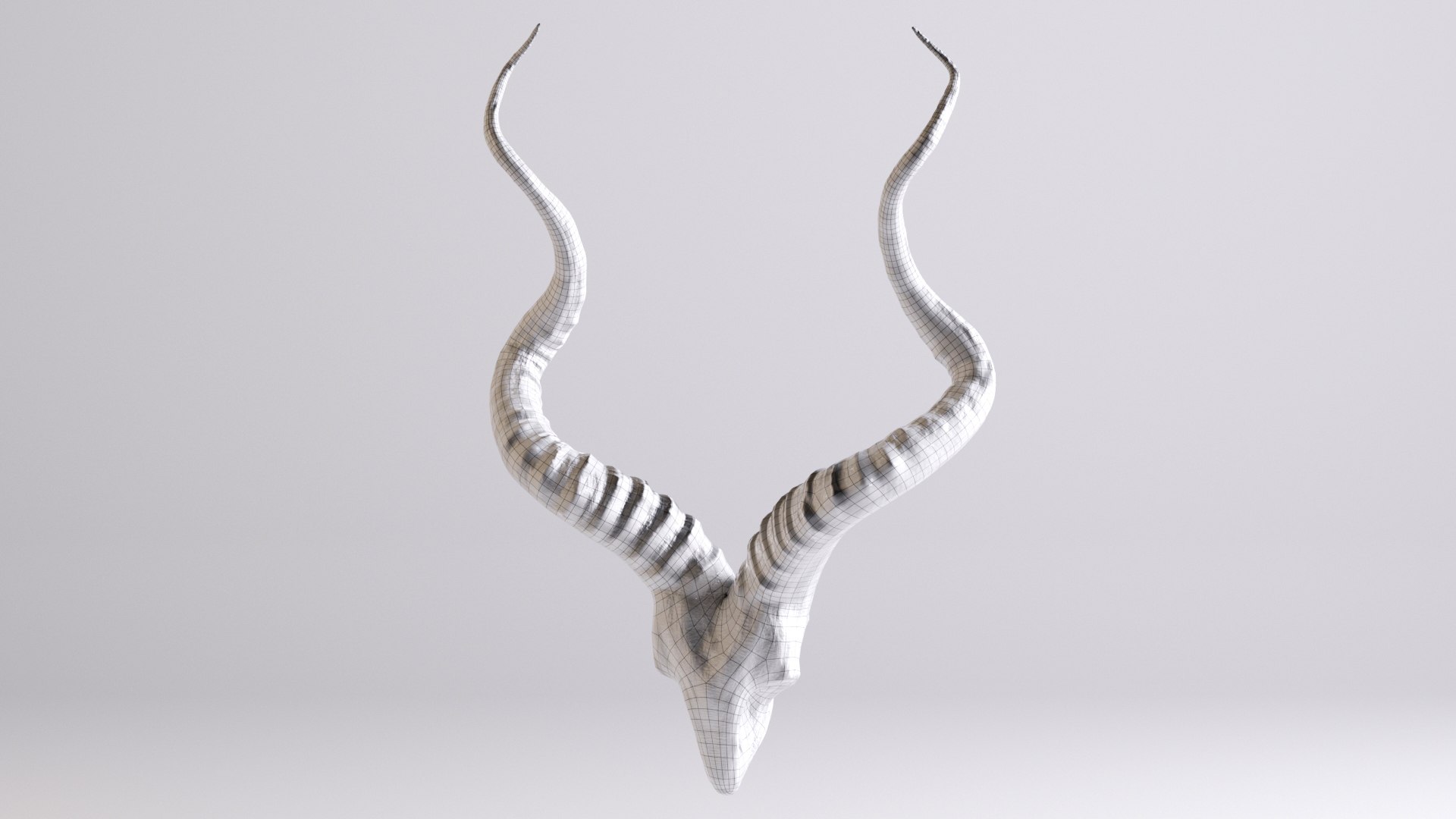 3D Horn V1 Interior Decor - TurboSquid 1952420