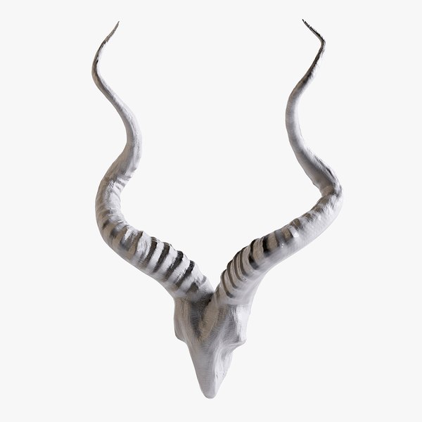 Free 3D Horns Models | TurboSquid