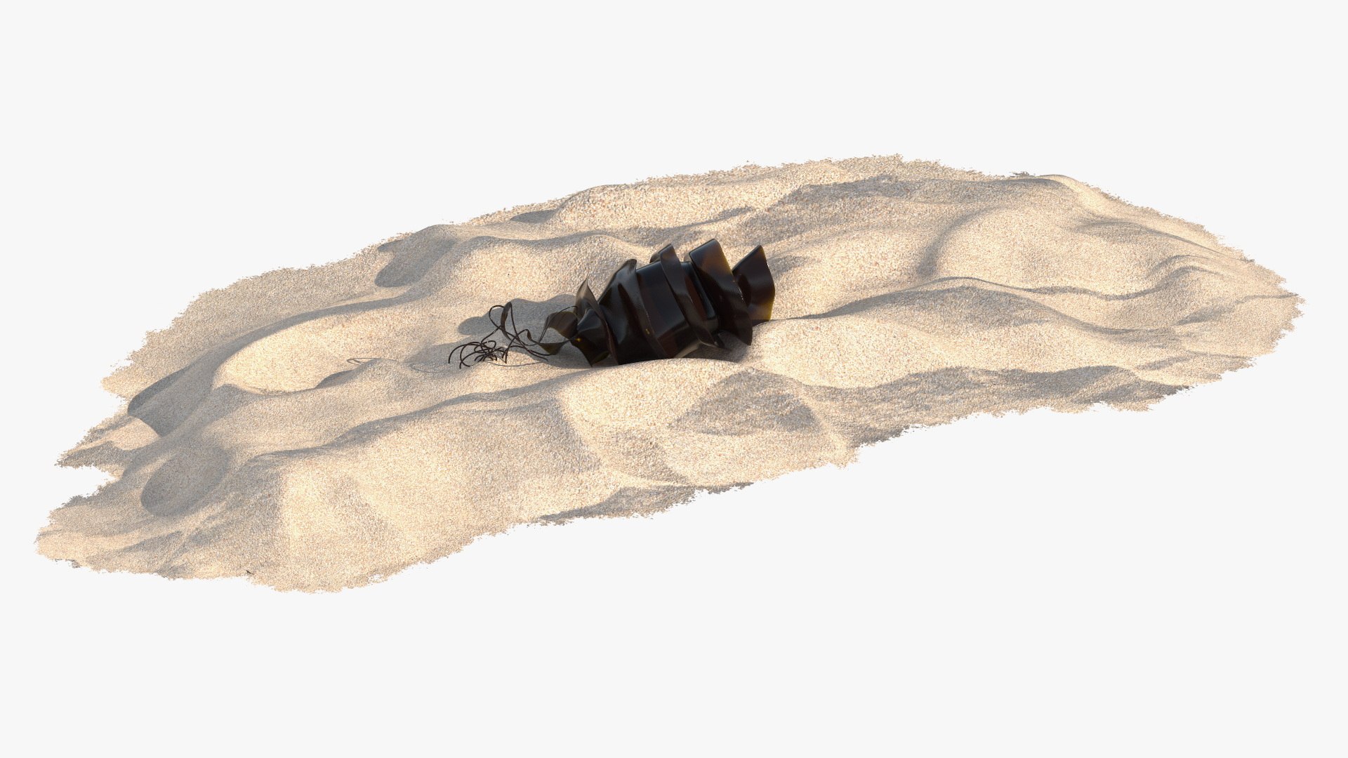 3D Spiral Egg Capsule On Sand Dark Brown - TurboSquid 2458681