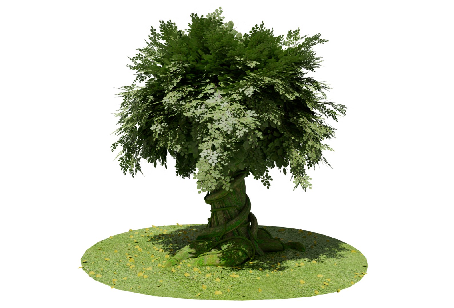 Cartoon Tree 3D Model - TurboSquid 1498575