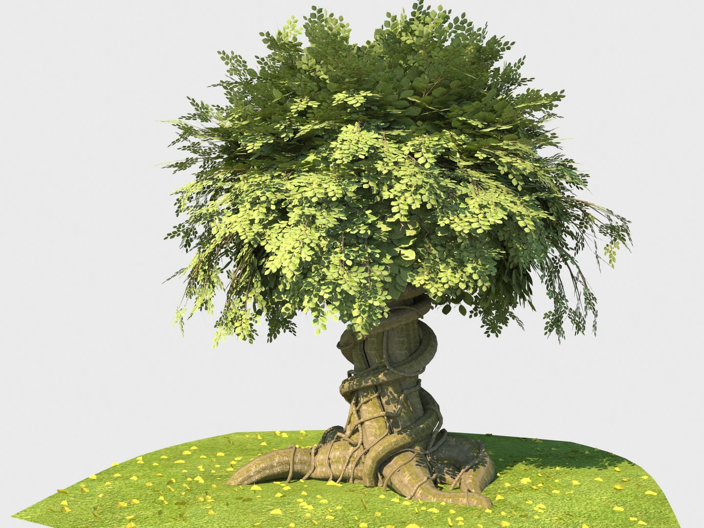 Cartoon Tree 3D Model - TurboSquid 1498575