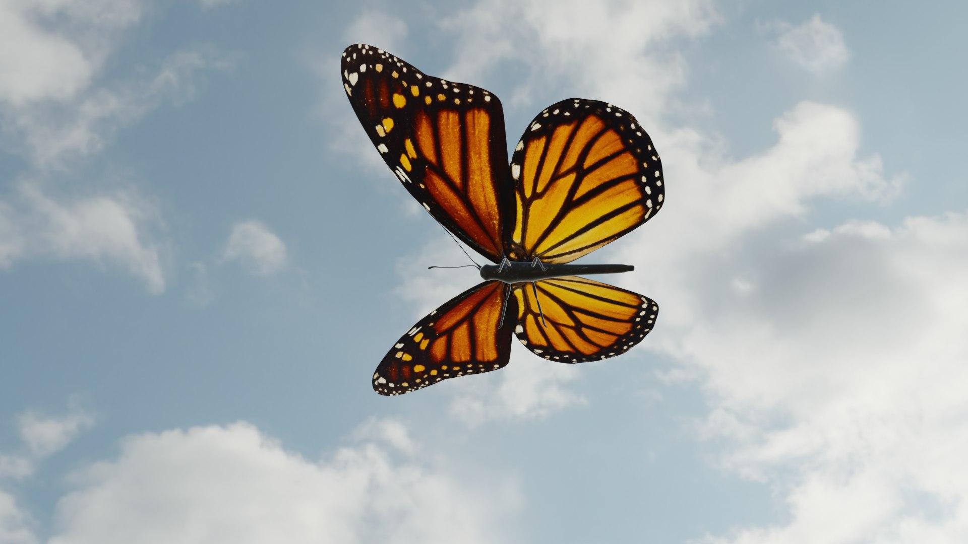 3D Butterfly - TurboSquid 1990518