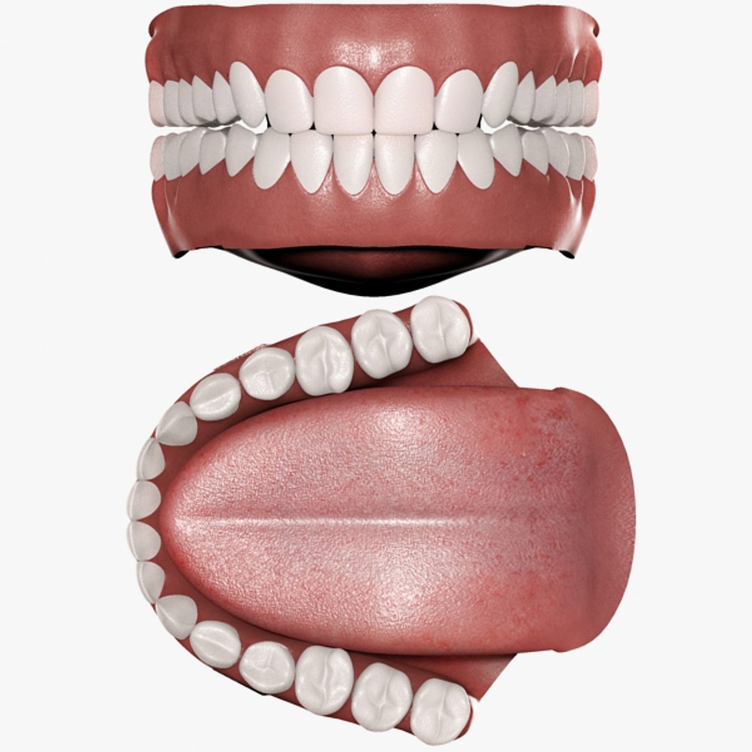 3d Model Kara Female