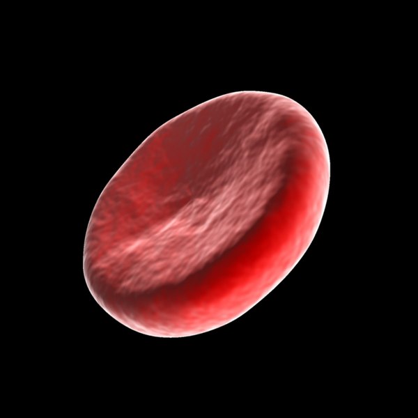 red blood cell 2 3d model