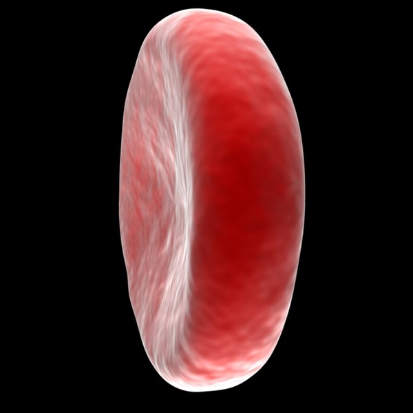 red blood cell 2 3d model