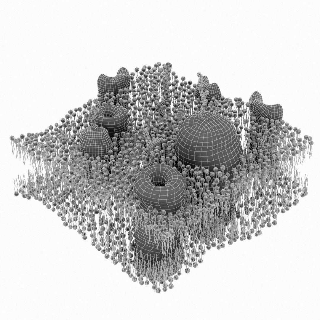 Membrane Cell 3d Max