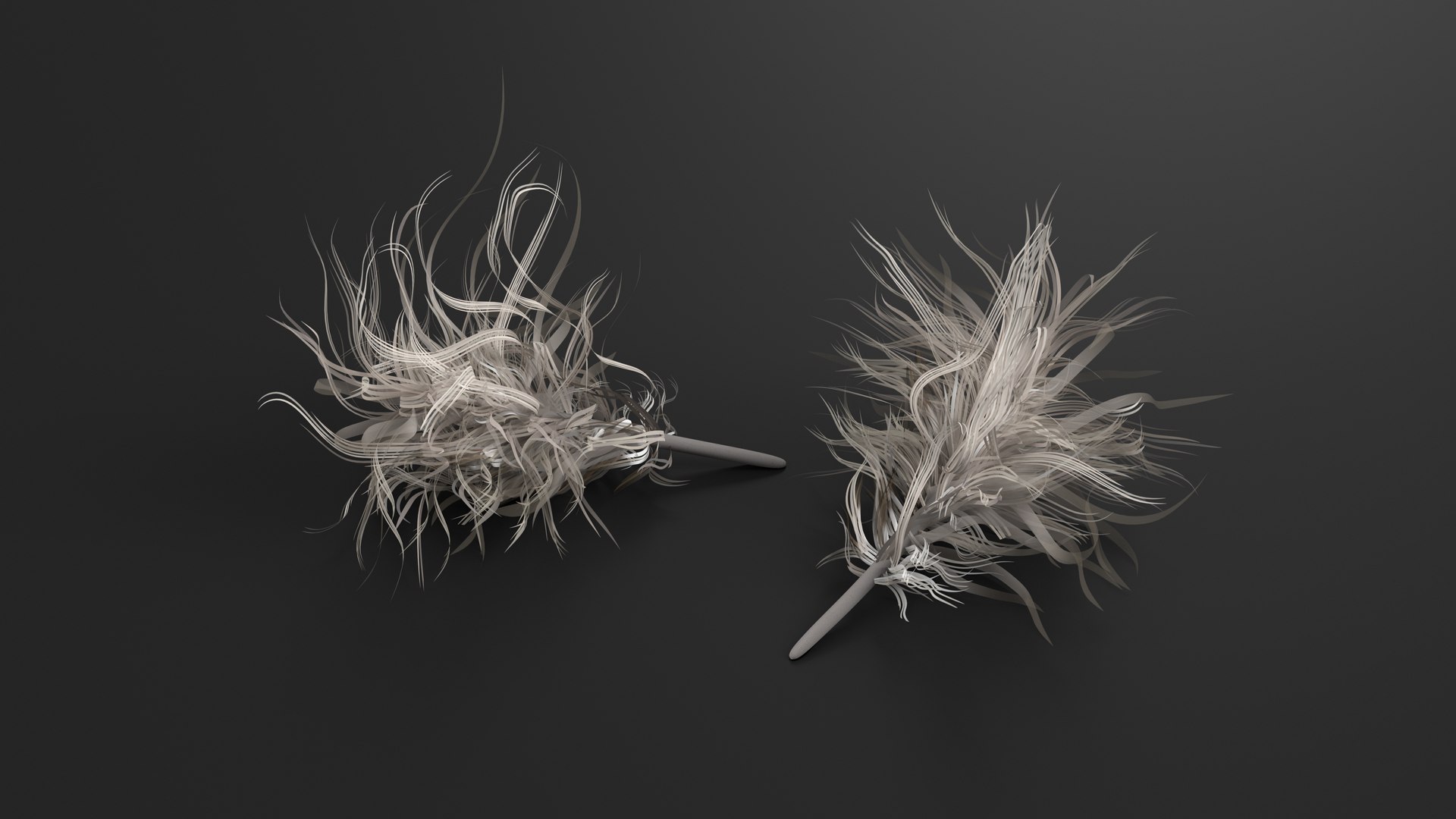 Feathers Collection Model - TurboSquid 2248818