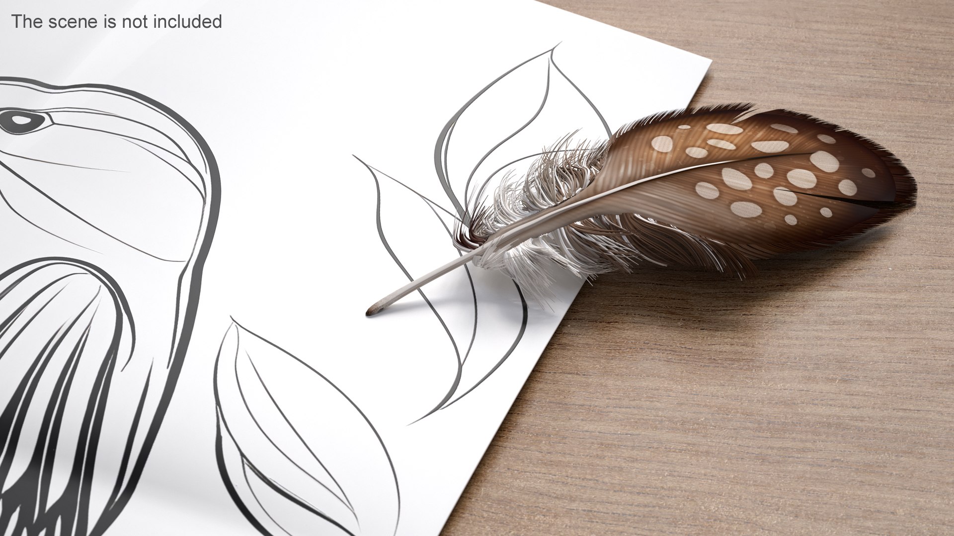 Feathers Collection Model - TurboSquid 2248818
