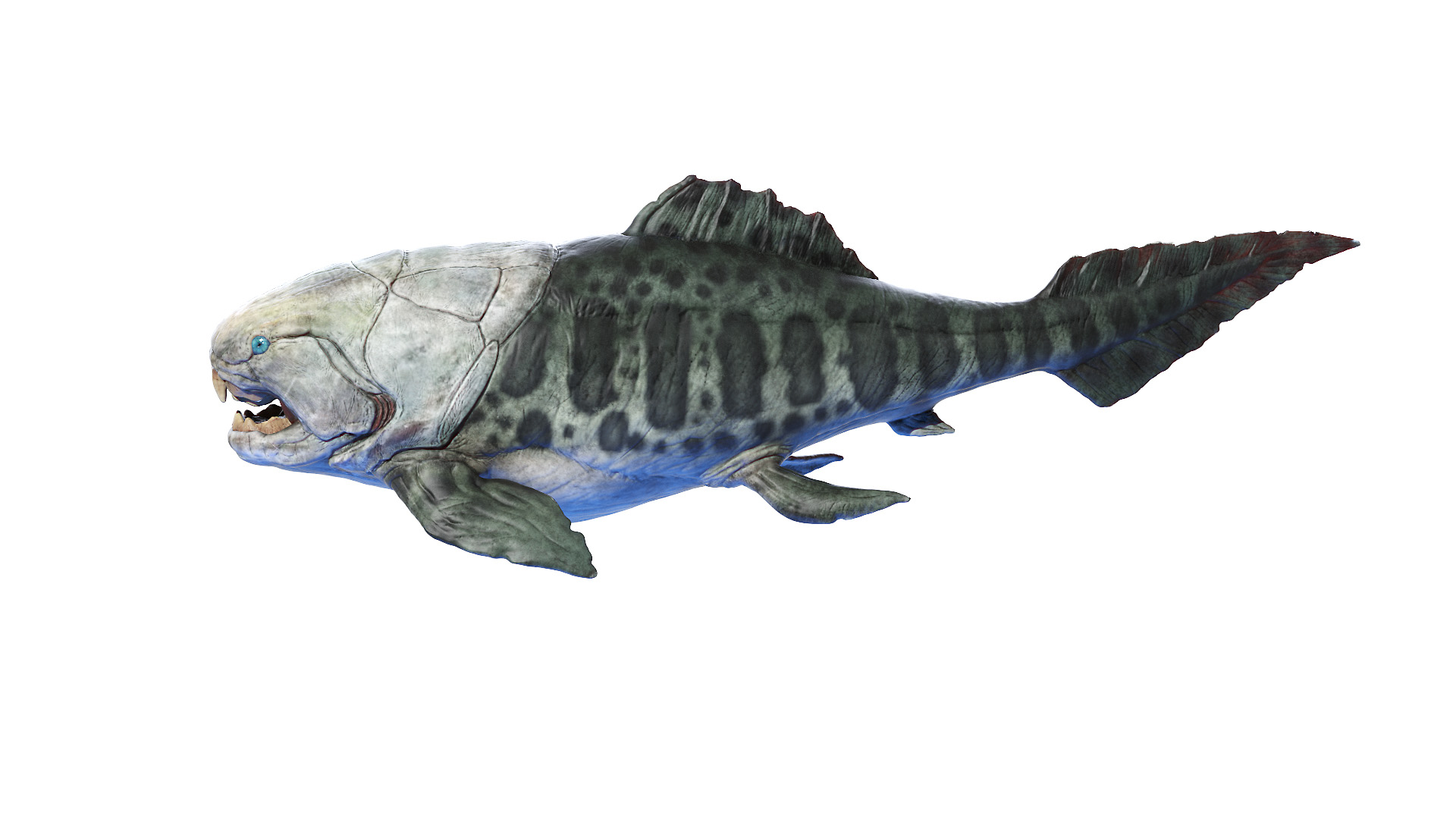Dunkleosteus Static 3D - TurboSquid 1898391