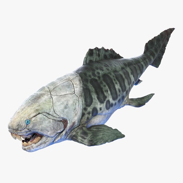 Dunkleosteus Static 3D - TurboSquid 1898391