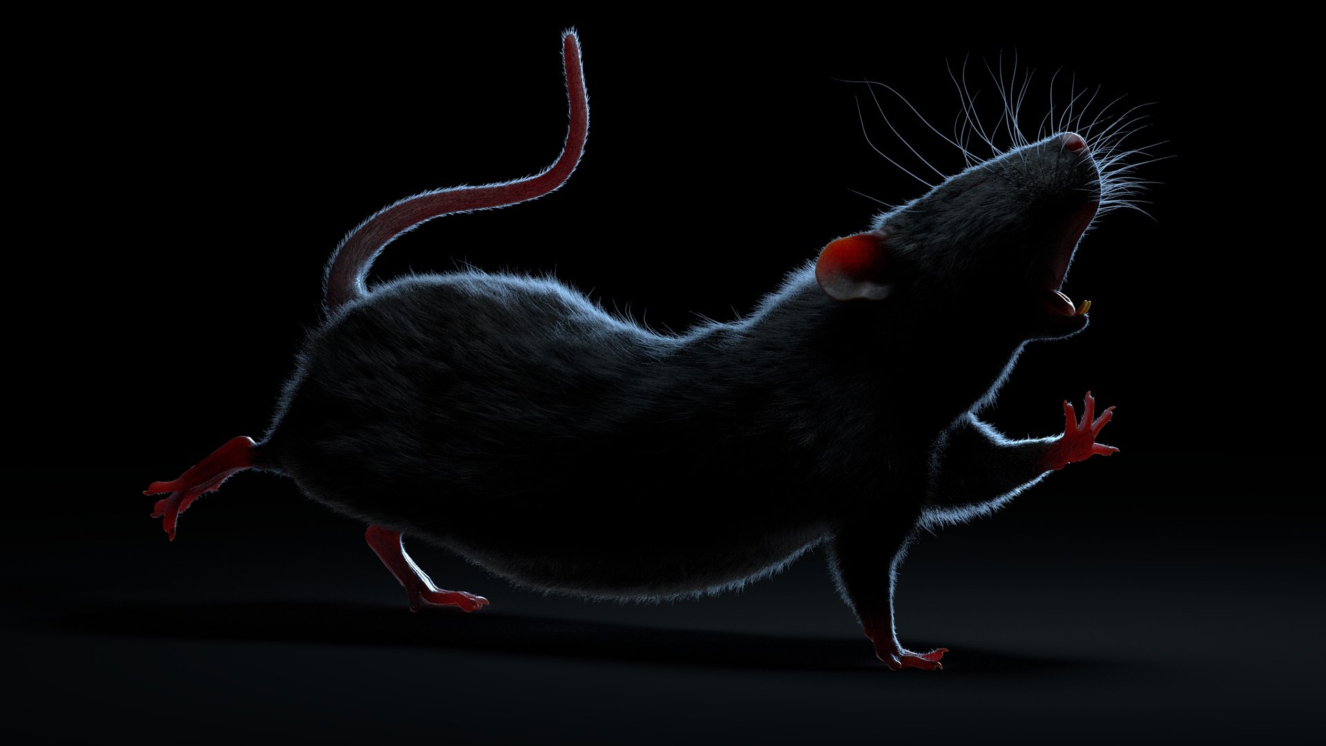 3D Rat Rigged Fur Animations Model - TurboSquid 1500223