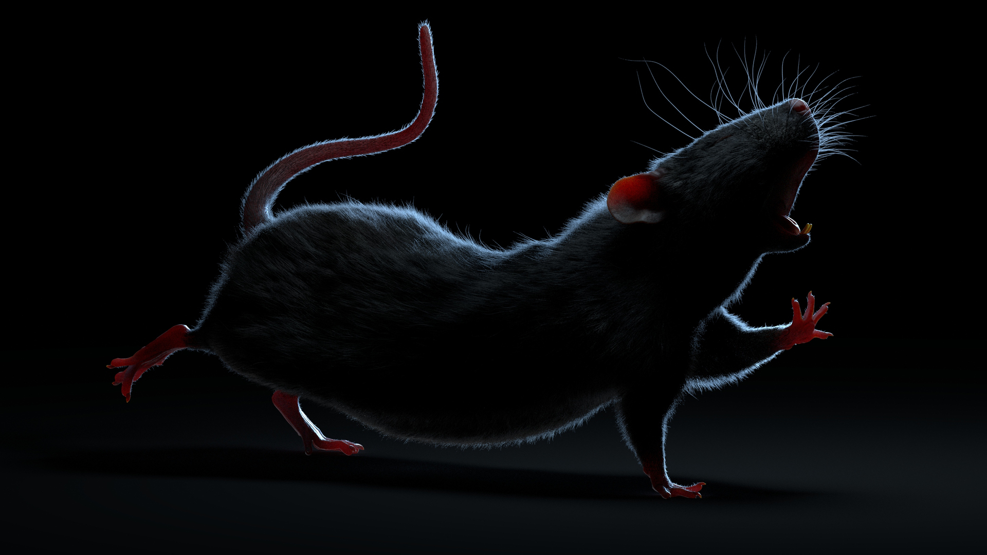 3D rat rigged fur animations model - TurboSquid 1500223