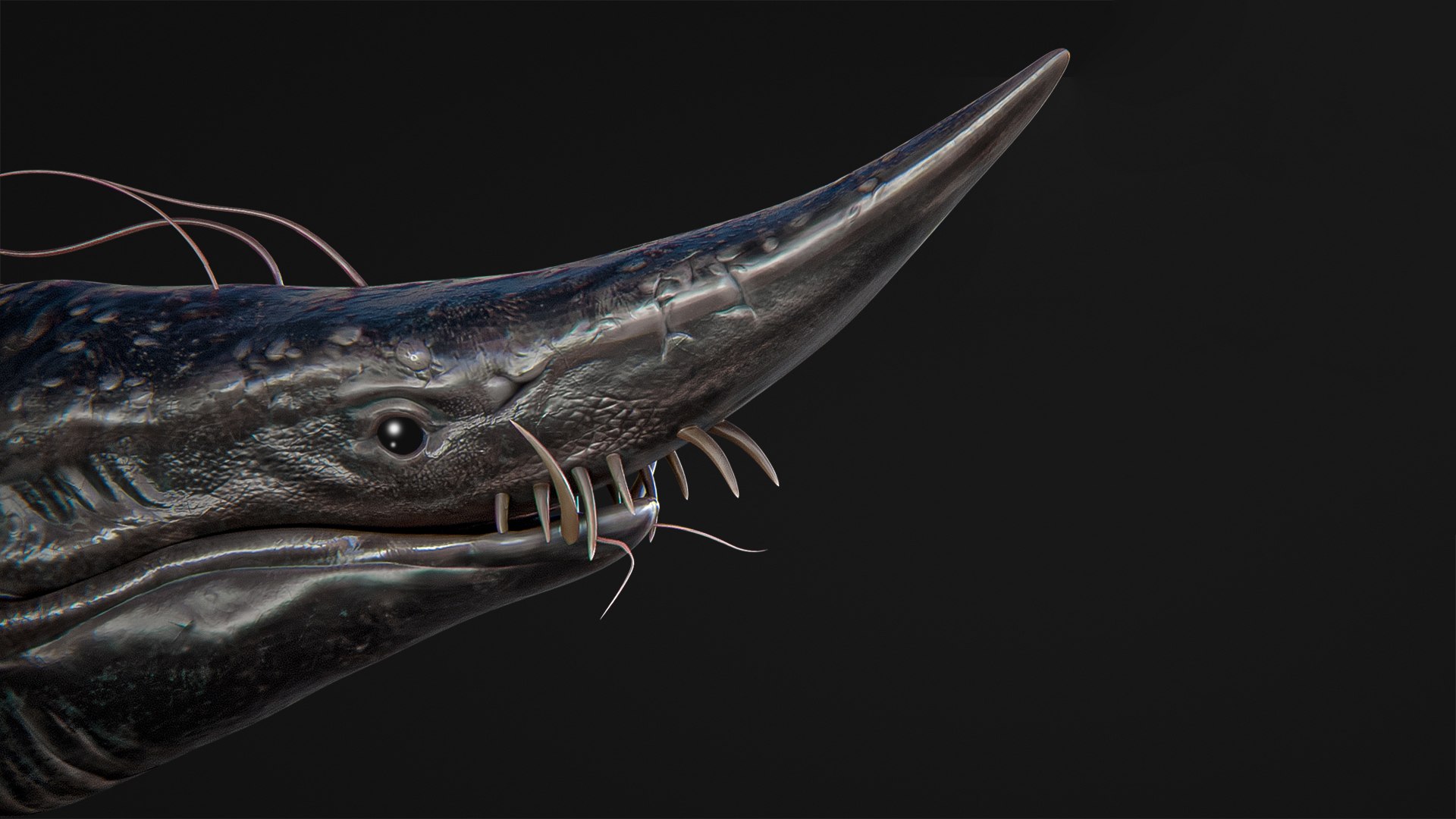 3D Caridean Shrimp Low Poly Model - Underwater Creatures - Ocean ...