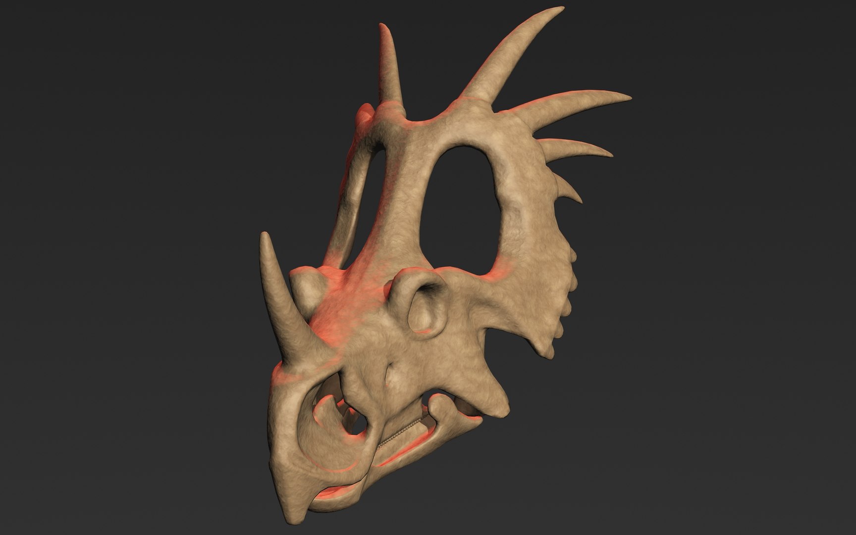 Styracosaurus skull model - TurboSquid 1228850