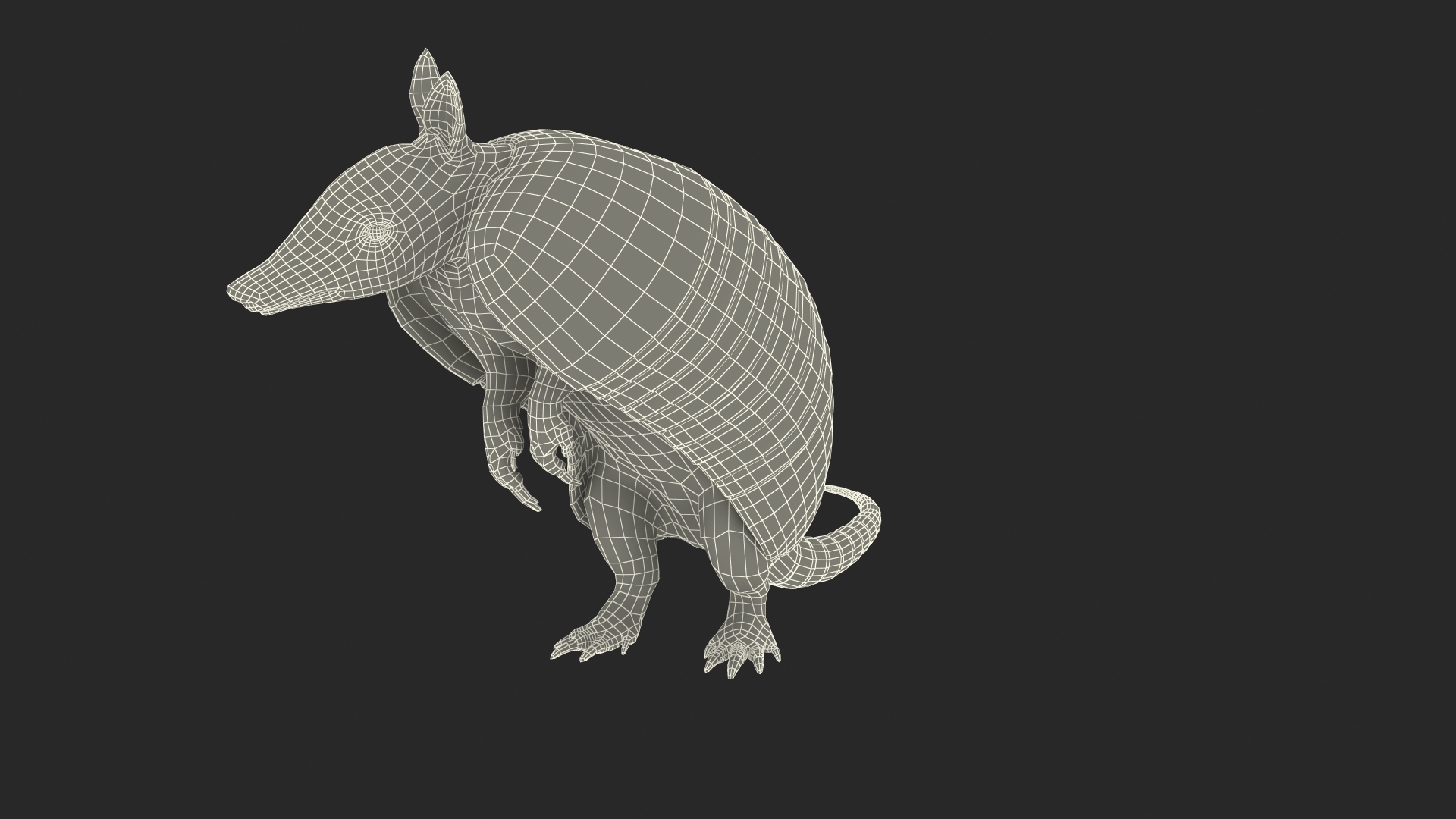 3D Model Armadillo In Hind Legs Pose Black Fur - TurboSquid 2248131