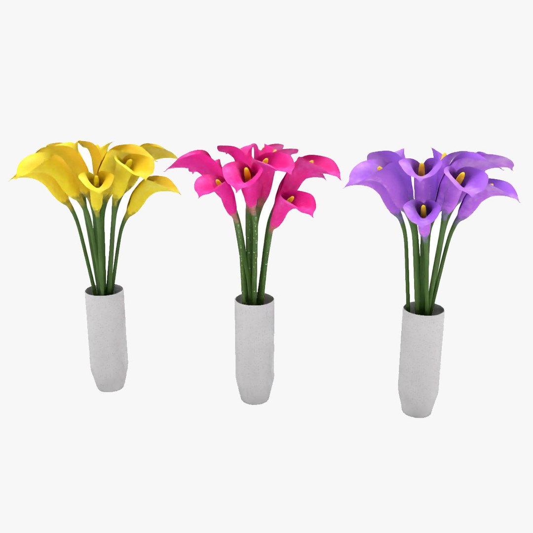 Flowers Calla Model - TurboSquid 1618368