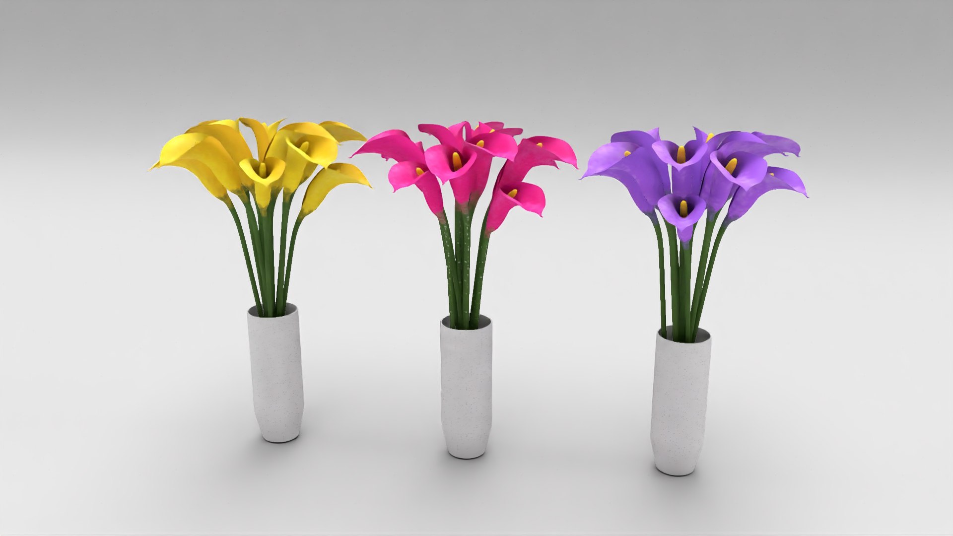 Flowers Calla Model - TurboSquid 1618368