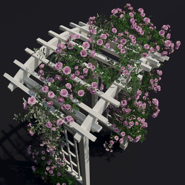 3D model arch 3 climbing rose - TurboSquid 1663415