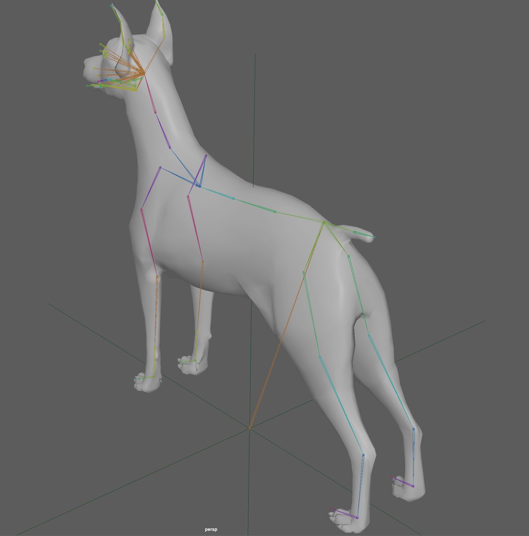 3D Doberman Dog Rig - TurboSquid 1980957