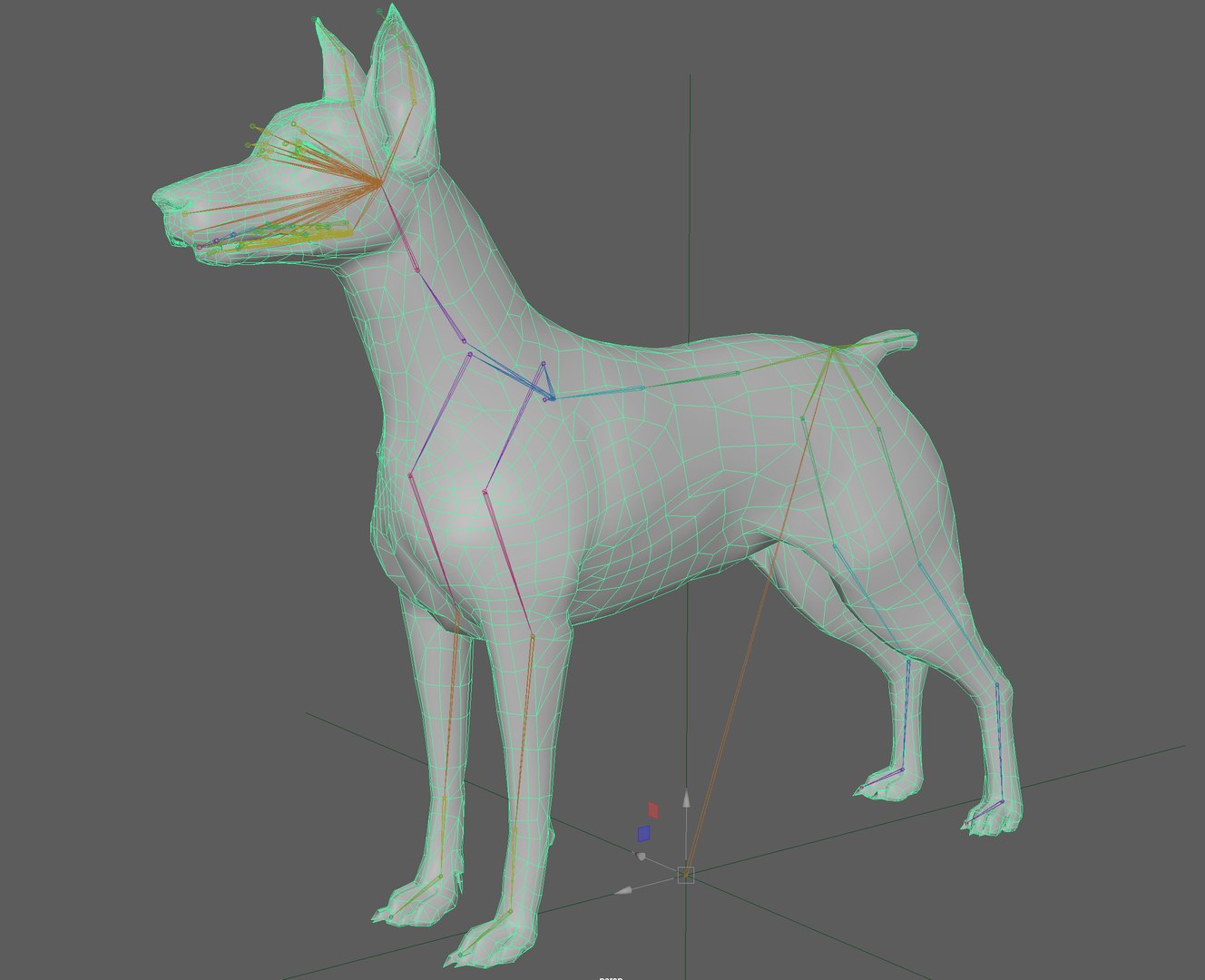 3D Doberman Dog Rig - TurboSquid 1980957
