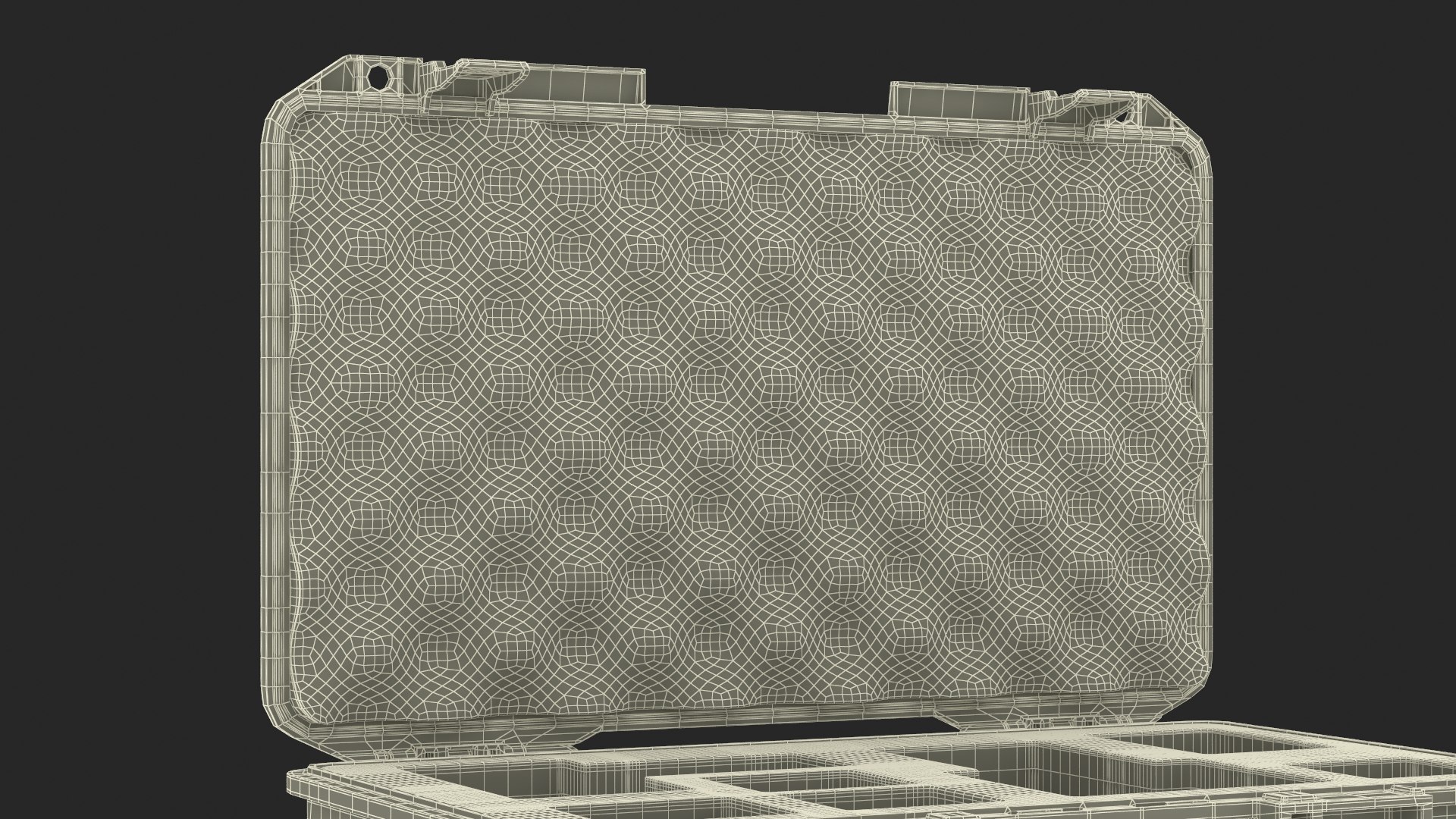 3D Heavy Duty Air Tight Rolling Case And Camera Foam Insert Model ...