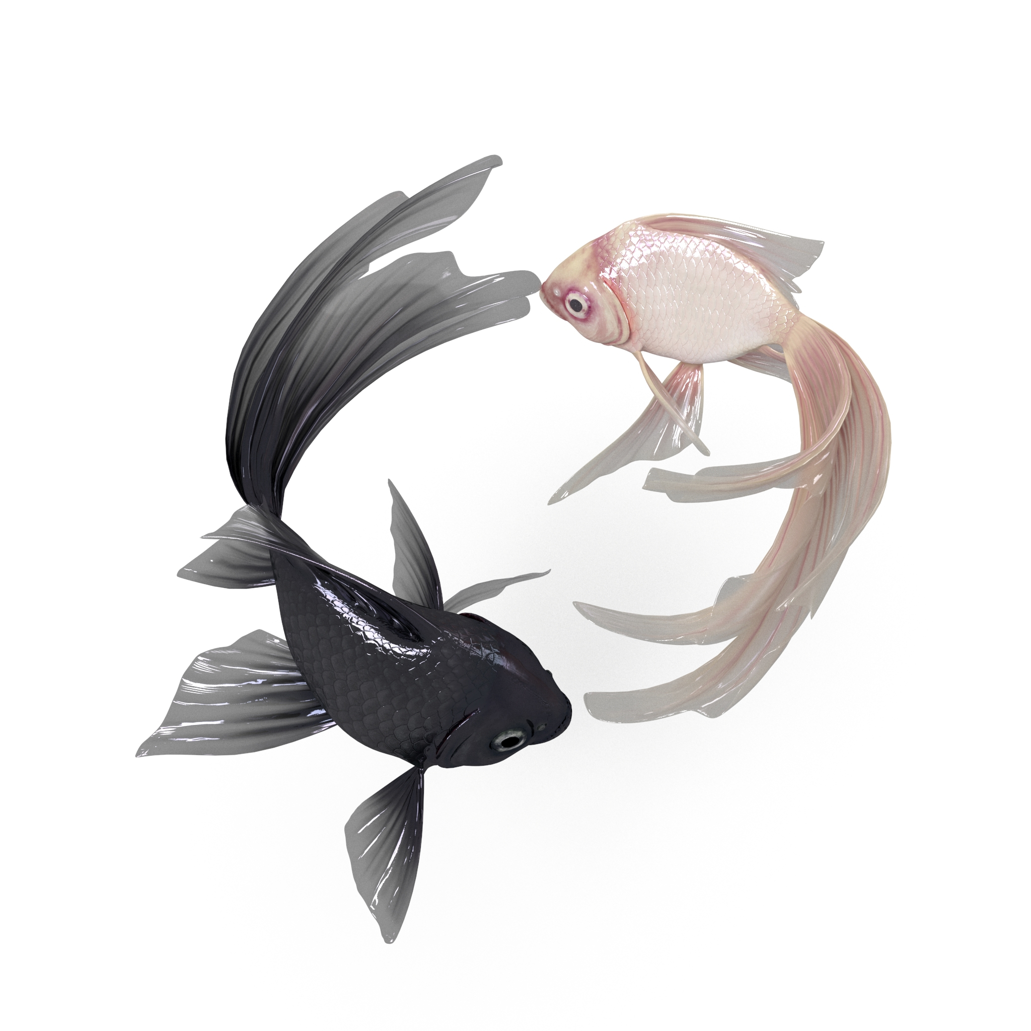 Yin yang fish model - TurboSquid 1504561