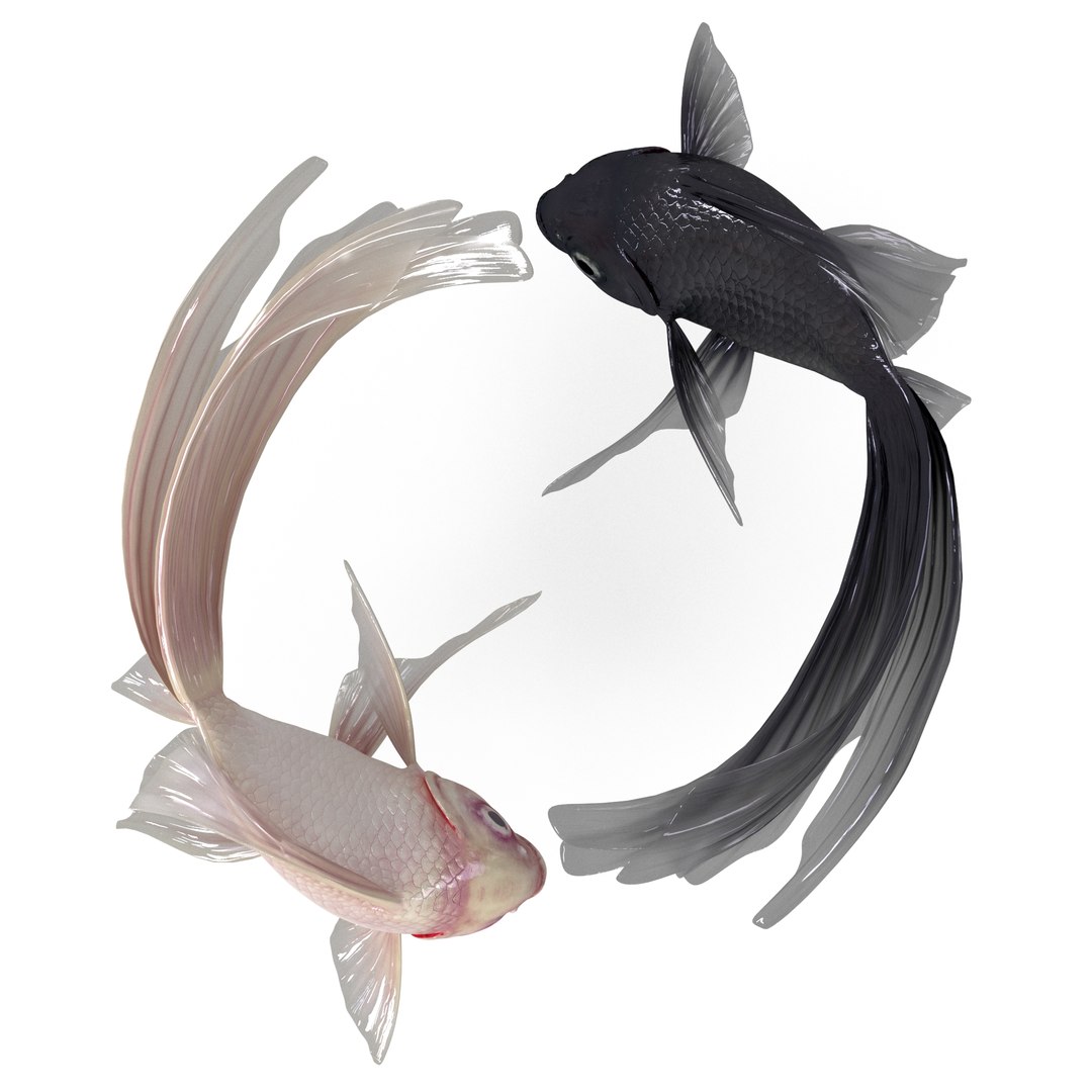 Yin Yang Fish Model - TurboSquid 1504561
