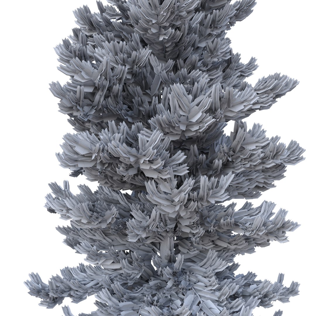 3D model Picea Abies Set 2 - 2 in 1 - TurboSquid 1783263