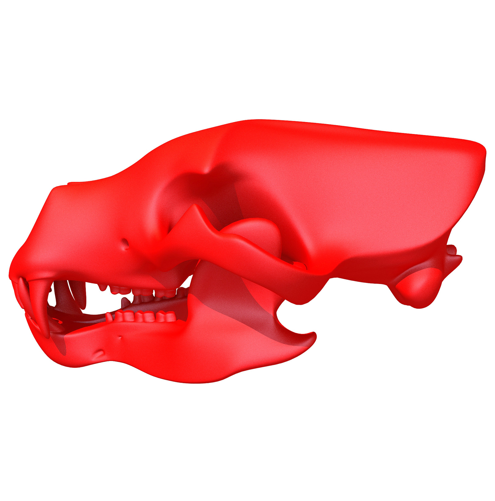 3d model print ready bear skull