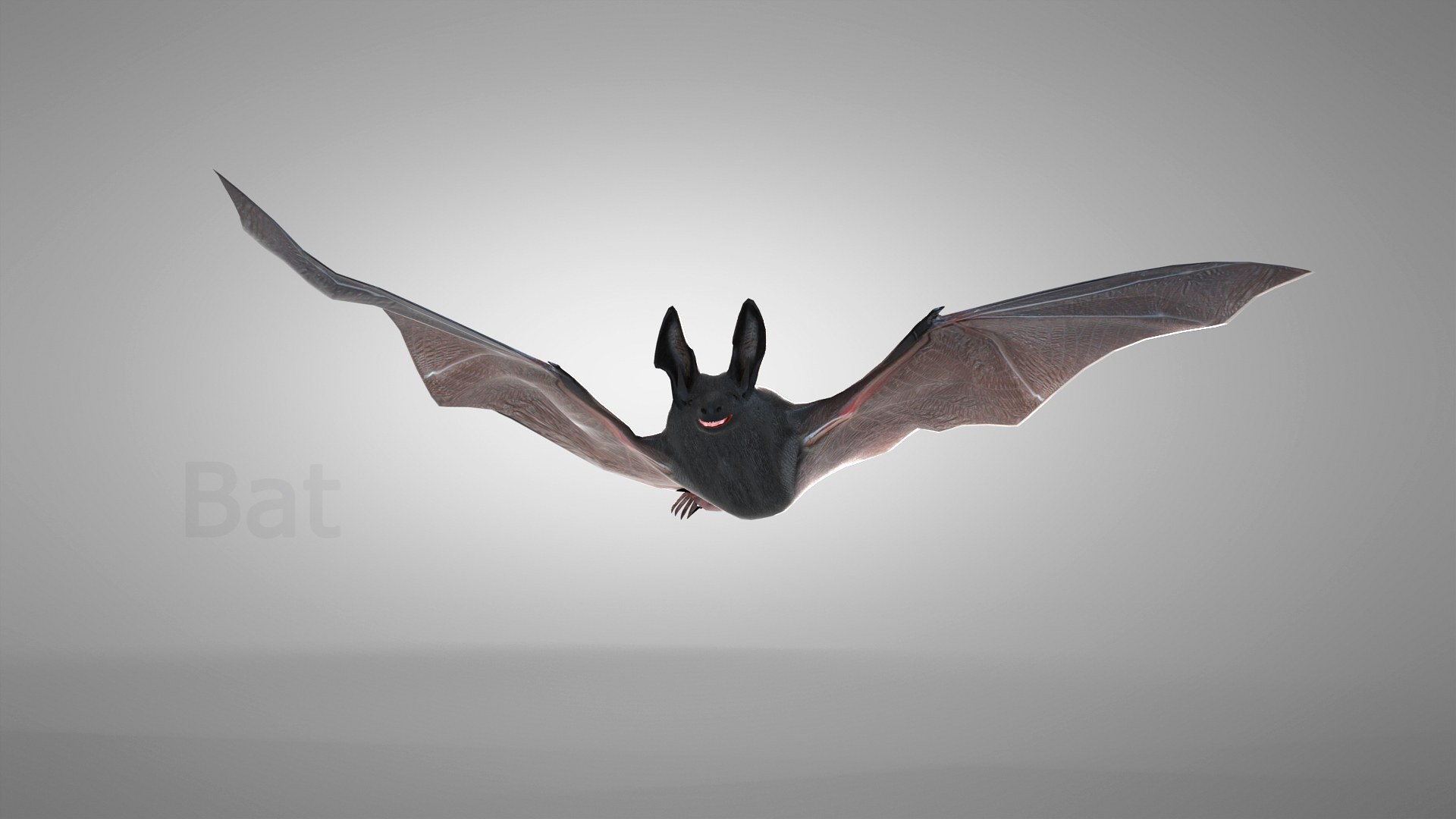 3d bat