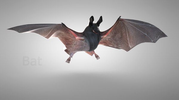 3d bat