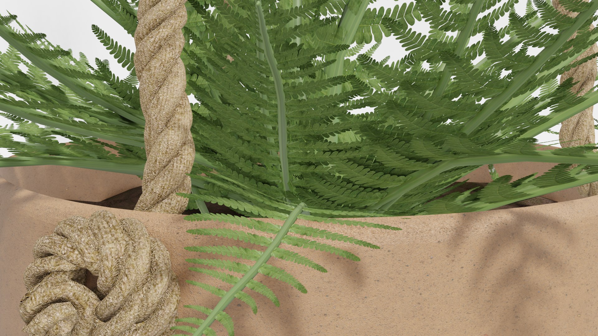 3D Fern Vase - TurboSquid 1796680
