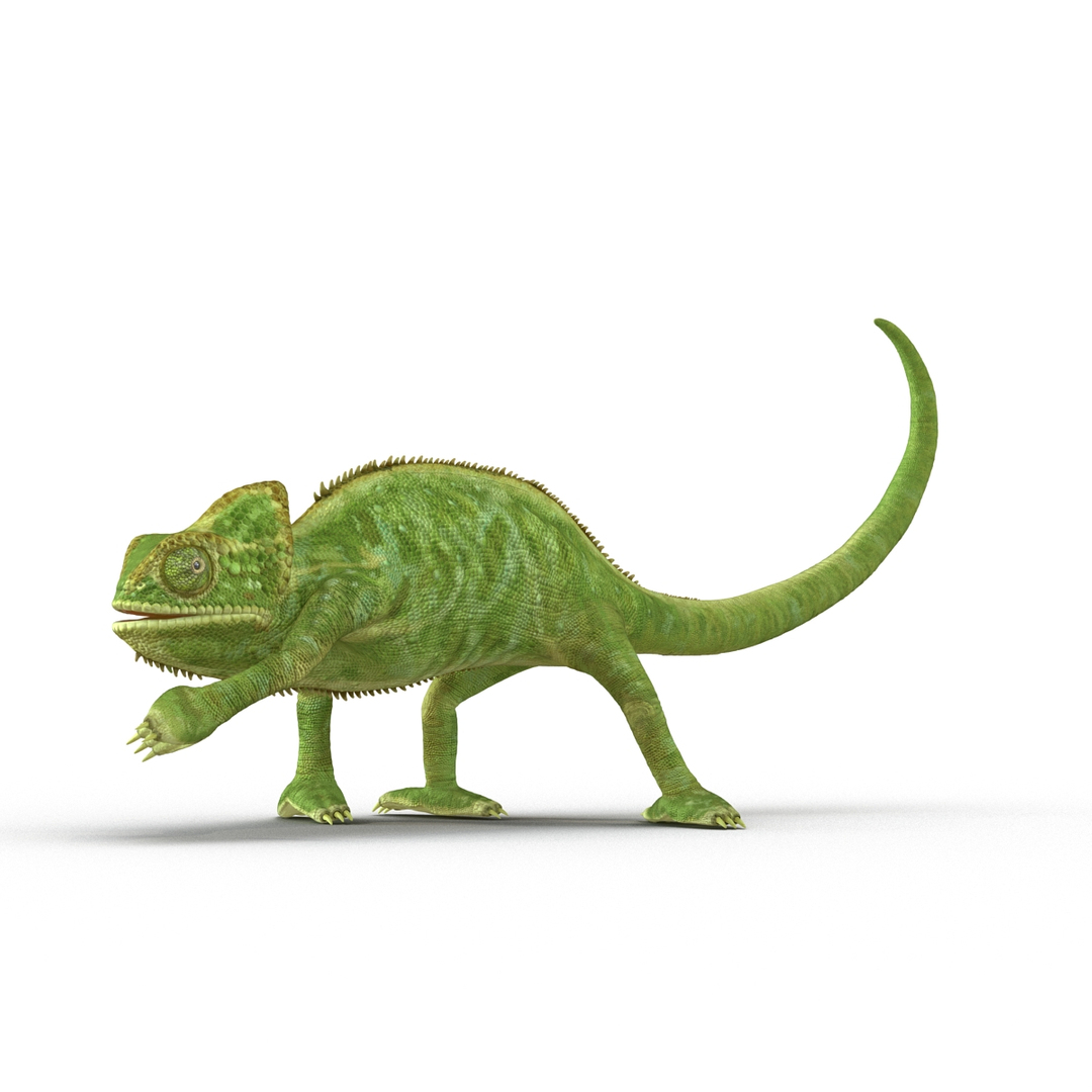 3d Model Chameleon Pose 3