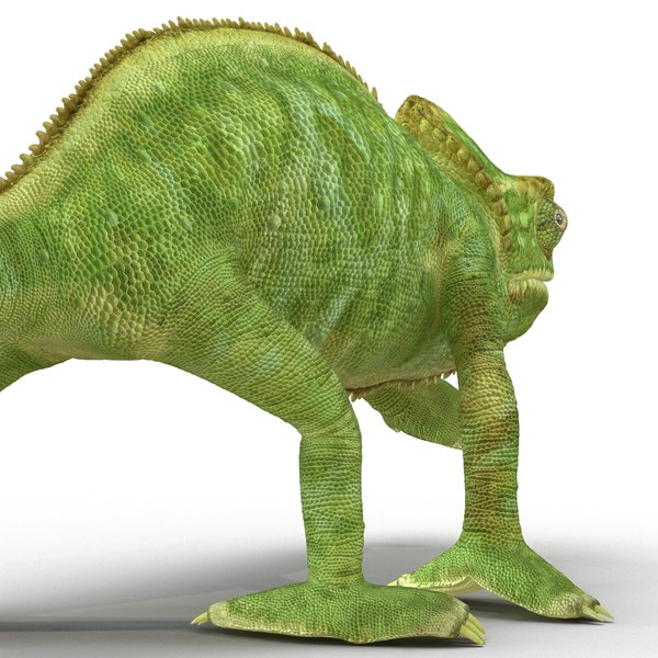 3d model chameleon pose 3