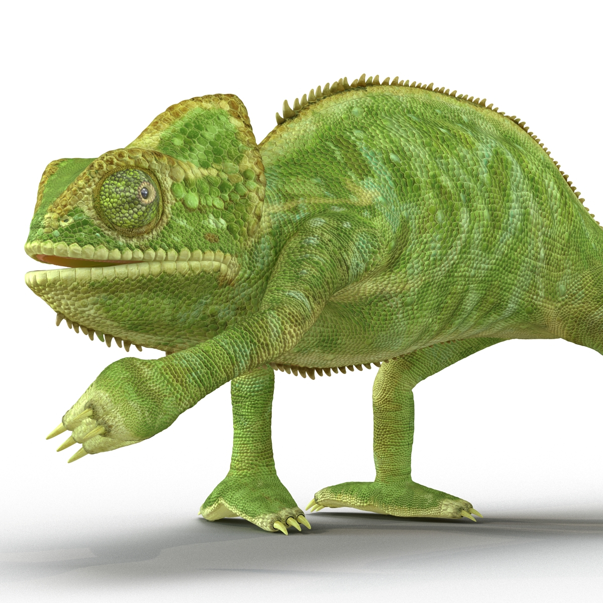 3d model chameleon pose 3