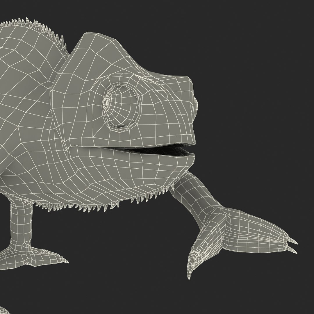 3d Model Chameleon Pose 3