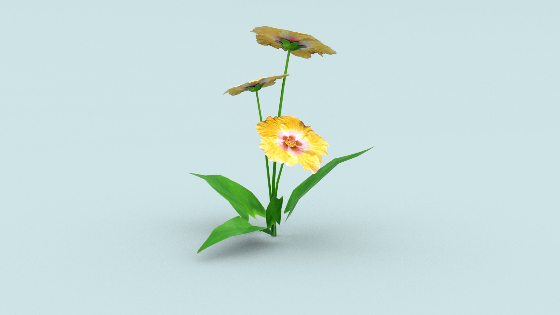 3D 6 Low Poly Flowers Collection 1 Low-poly 3D Model - TurboSquid 2288670