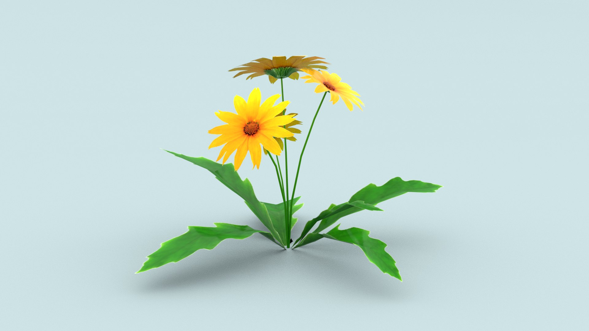 3D 6 Low Poly Flowers Collection 1 Low-poly 3D Model - TurboSquid 2288670