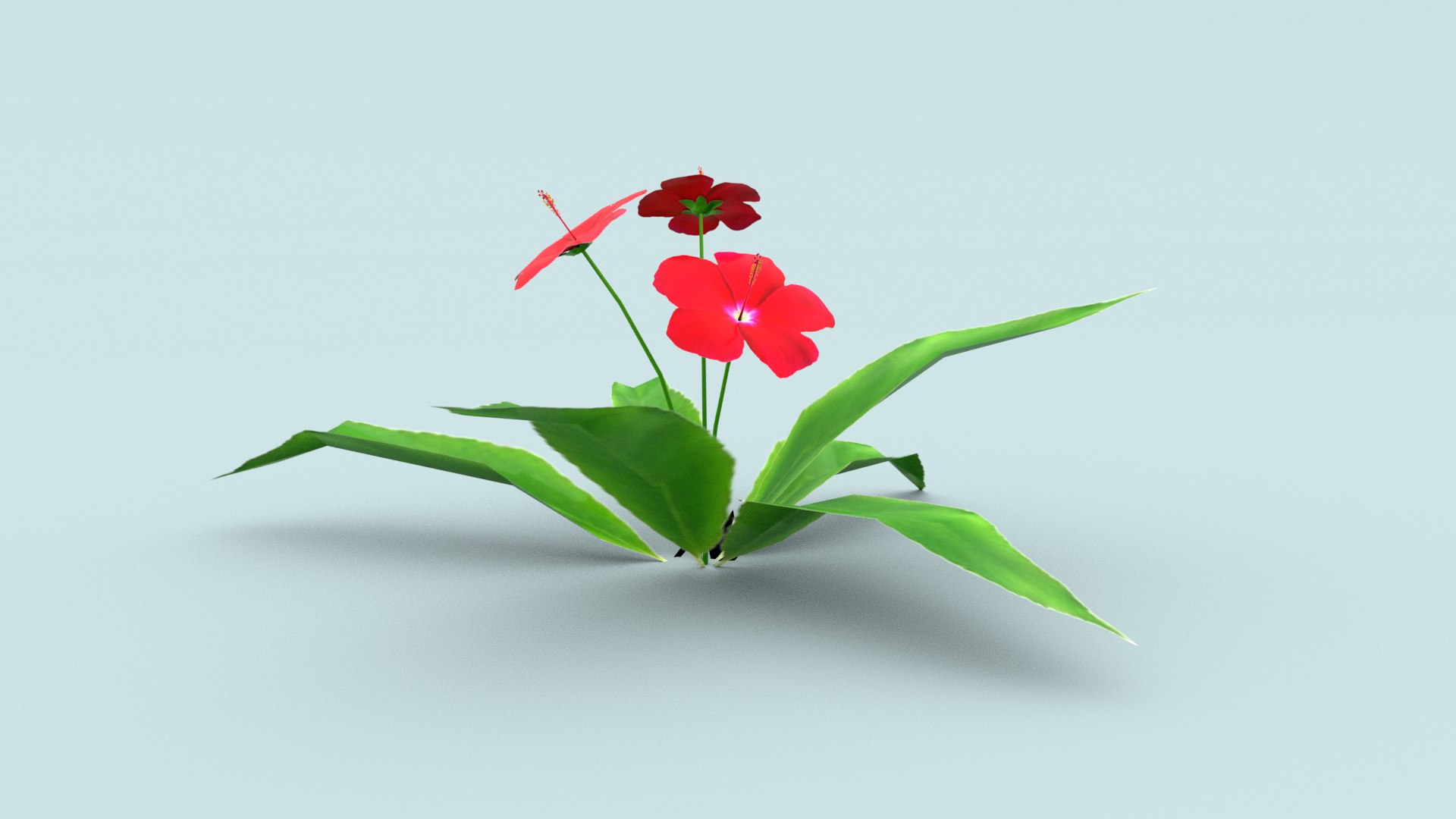 3D 6 Low Poly Flowers Collection 1 Low-poly 3D Model - TurboSquid 2288670