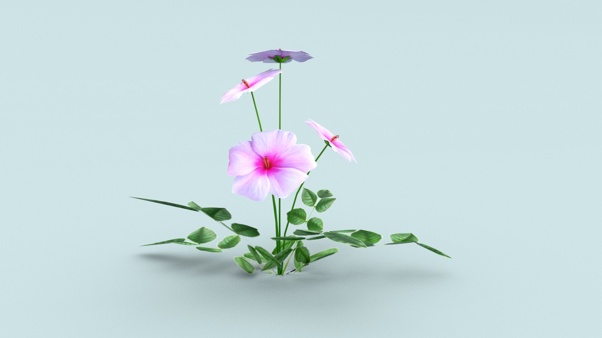 3D 6 Low Poly Flowers Collection 1 Low-poly 3D Model - TurboSquid 2288670