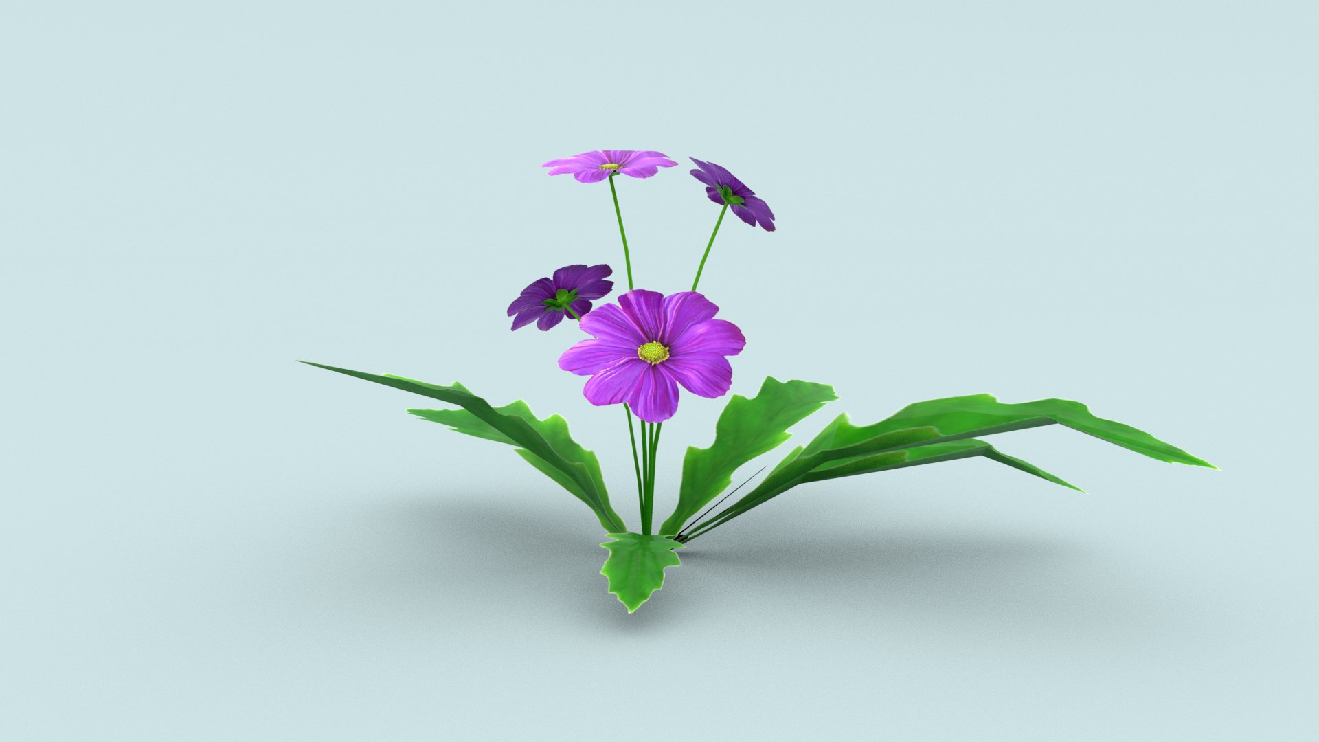 3D 6 Low Poly Flowers Collection 1 Low-poly 3D Model - TurboSquid 2288670