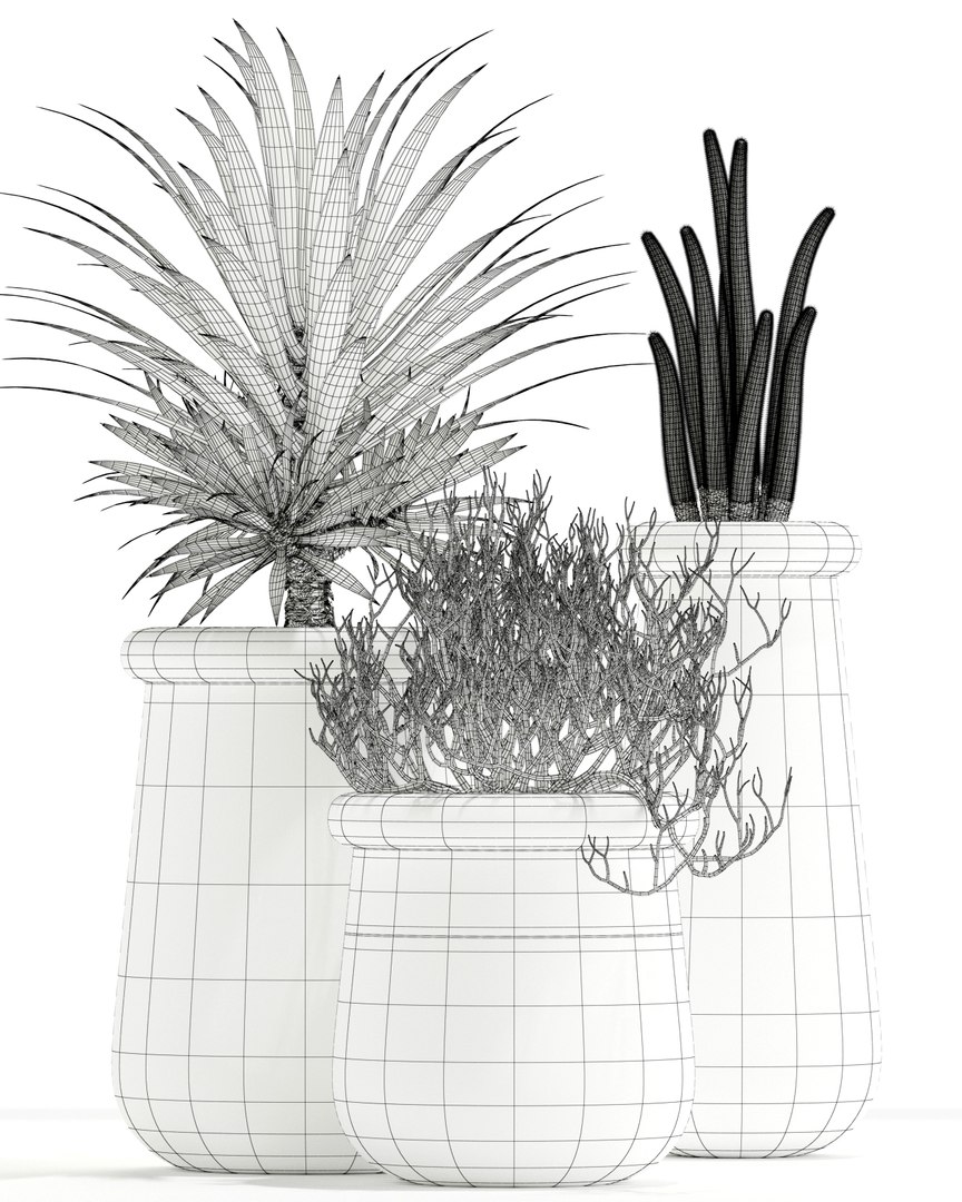 3D Indigenus Soma Plant Model - TurboSquid 1348656
