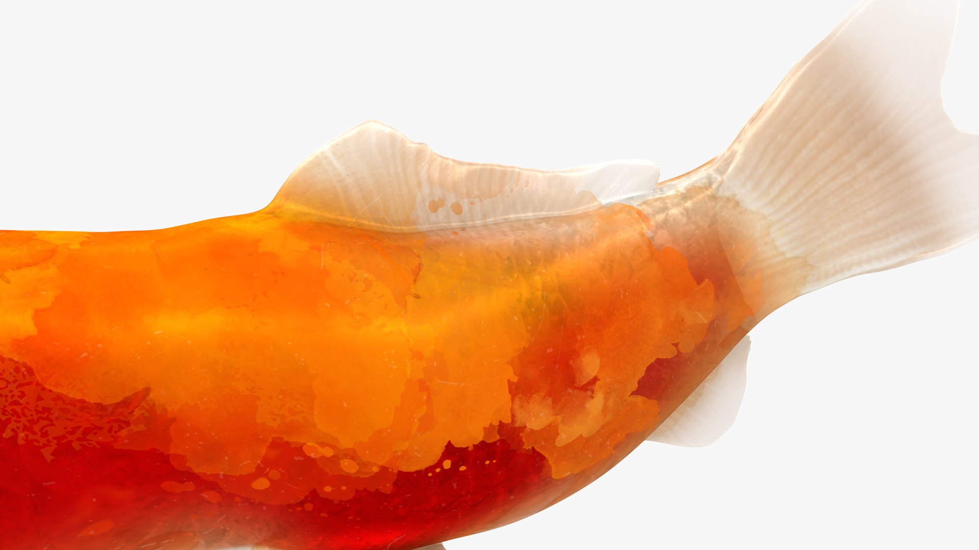 3D Japanese Carp Fish Rigged L1840 model - TurboSquid 1968987