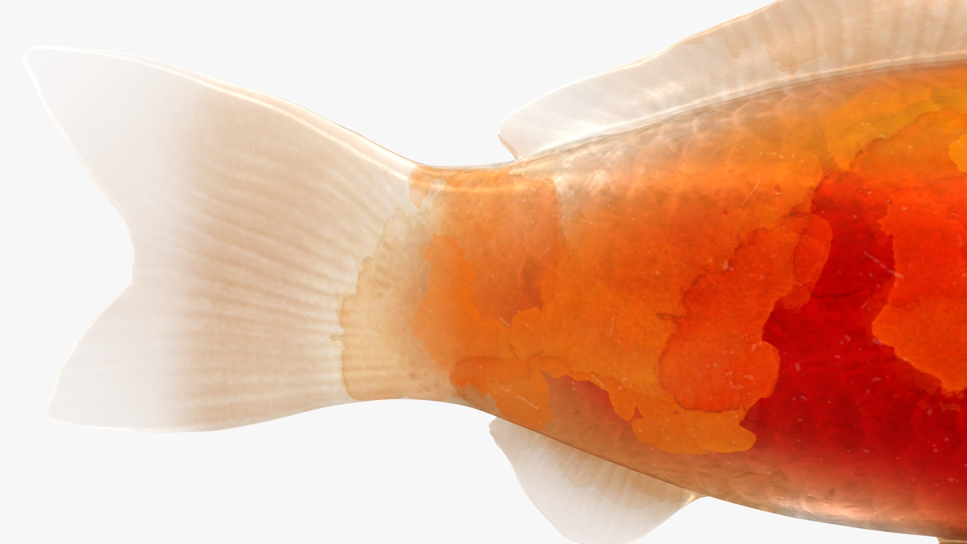 3D Japanese Carp Fish Rigged L1840 model - TurboSquid 1968987