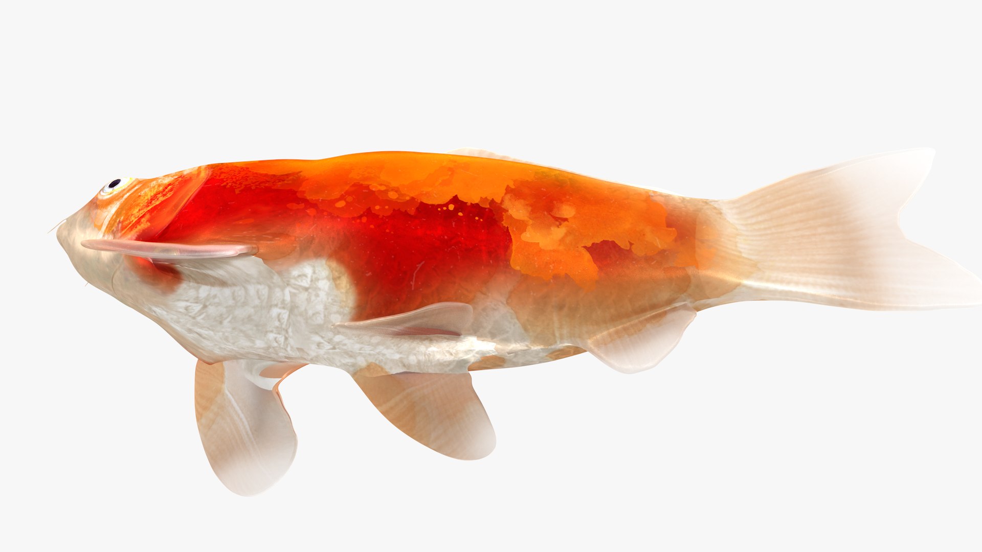 3D Japanese Carp Fish Rigged L1840 model - TurboSquid 1968987