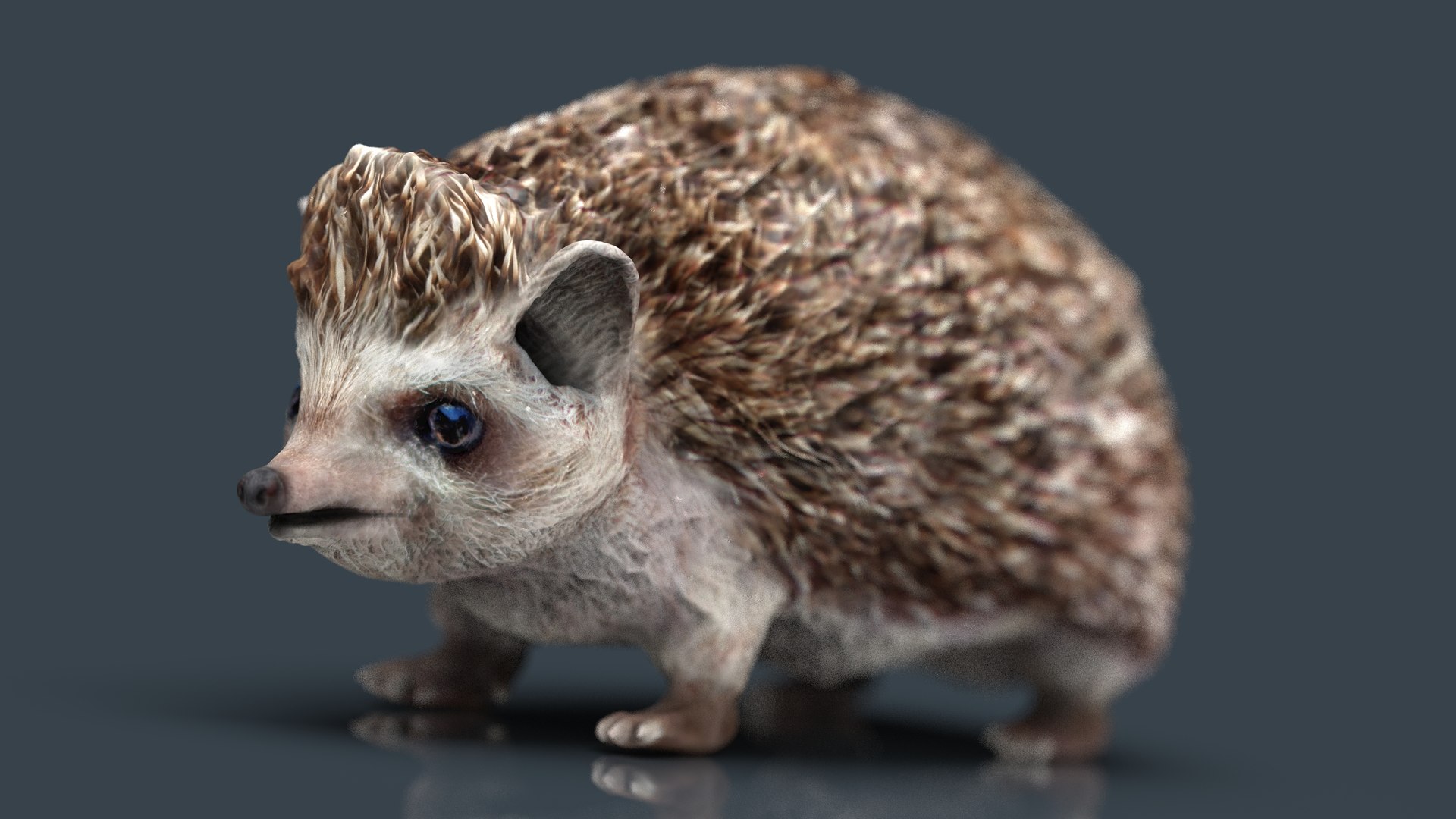 Hedgehog Animal Garden Model - TurboSquid 1502114