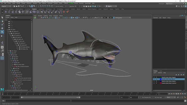 modelo 3d Tiburón toro realista diseñado para Maya - TurboSquid 2340823