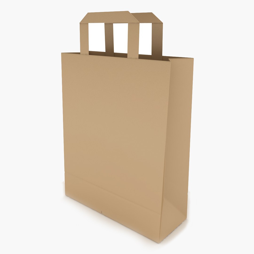 3D model Paper Bag 5 - TurboSquid 2037455