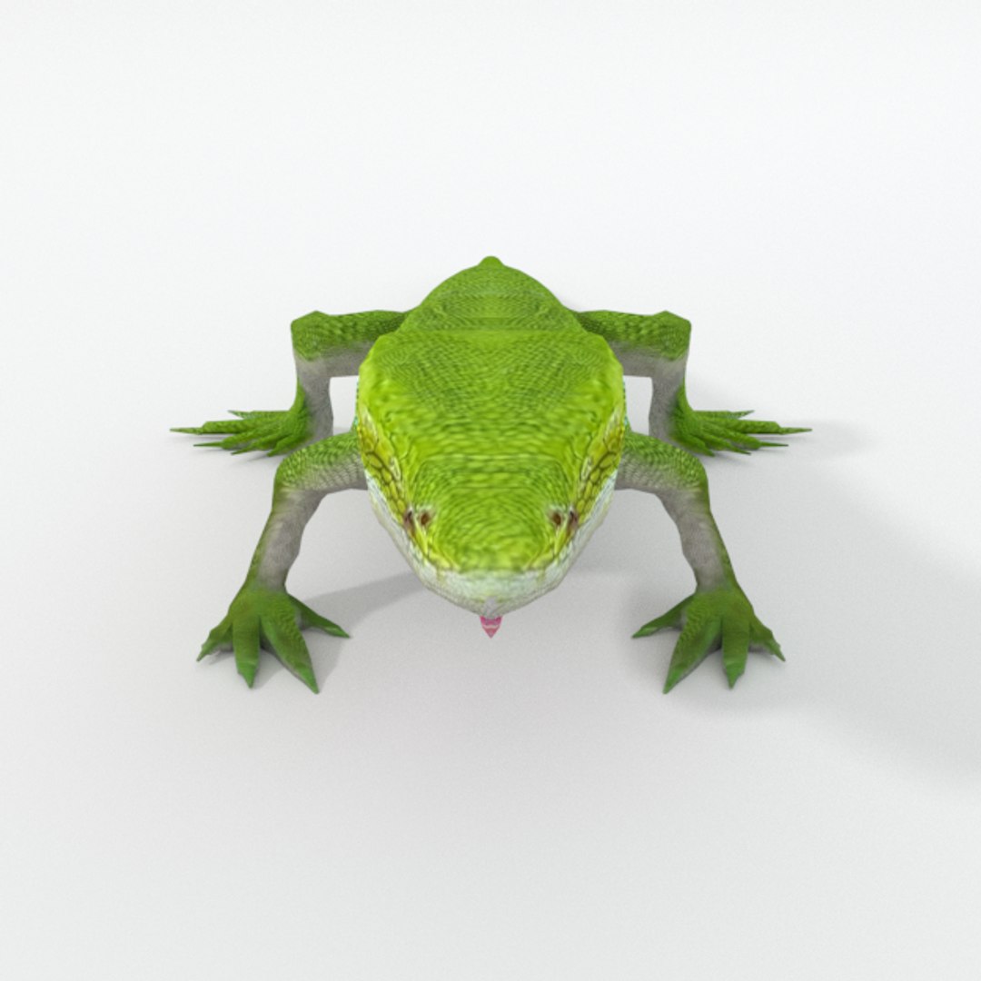 Anole Lizard 3D Model - TurboSquid 1346773
