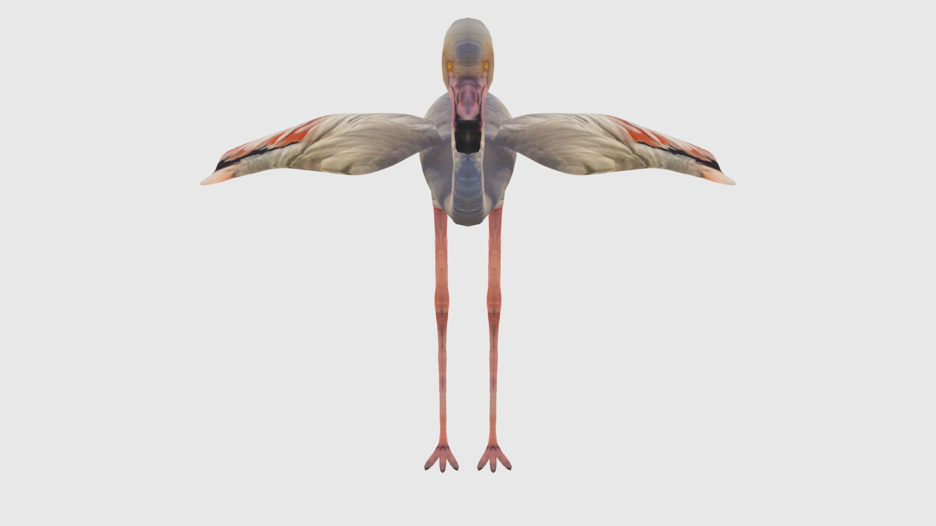 Low Poly Flamingo Rigged With Realistic Texture 3D Model - TurboSquid ...